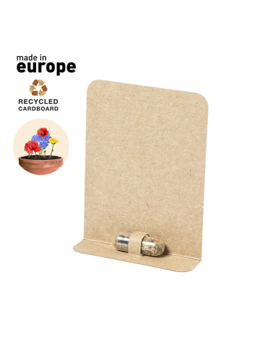 Cápsula con Semillas de Flores Silvestres